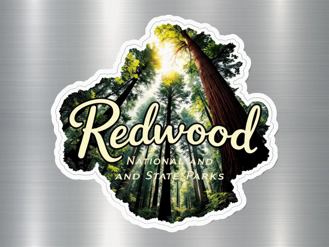 Redwood National and State Parks Magnet, Nature Scenic Fridge Magnet ...