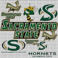 Hornets SVG, Football Team SVG, Collage, Game Day, Basketball ...