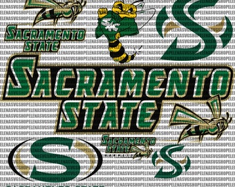 Bears SVG Football Team SVG Collage Game Day Basketball - Etsy