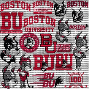 Boston University - Etsy