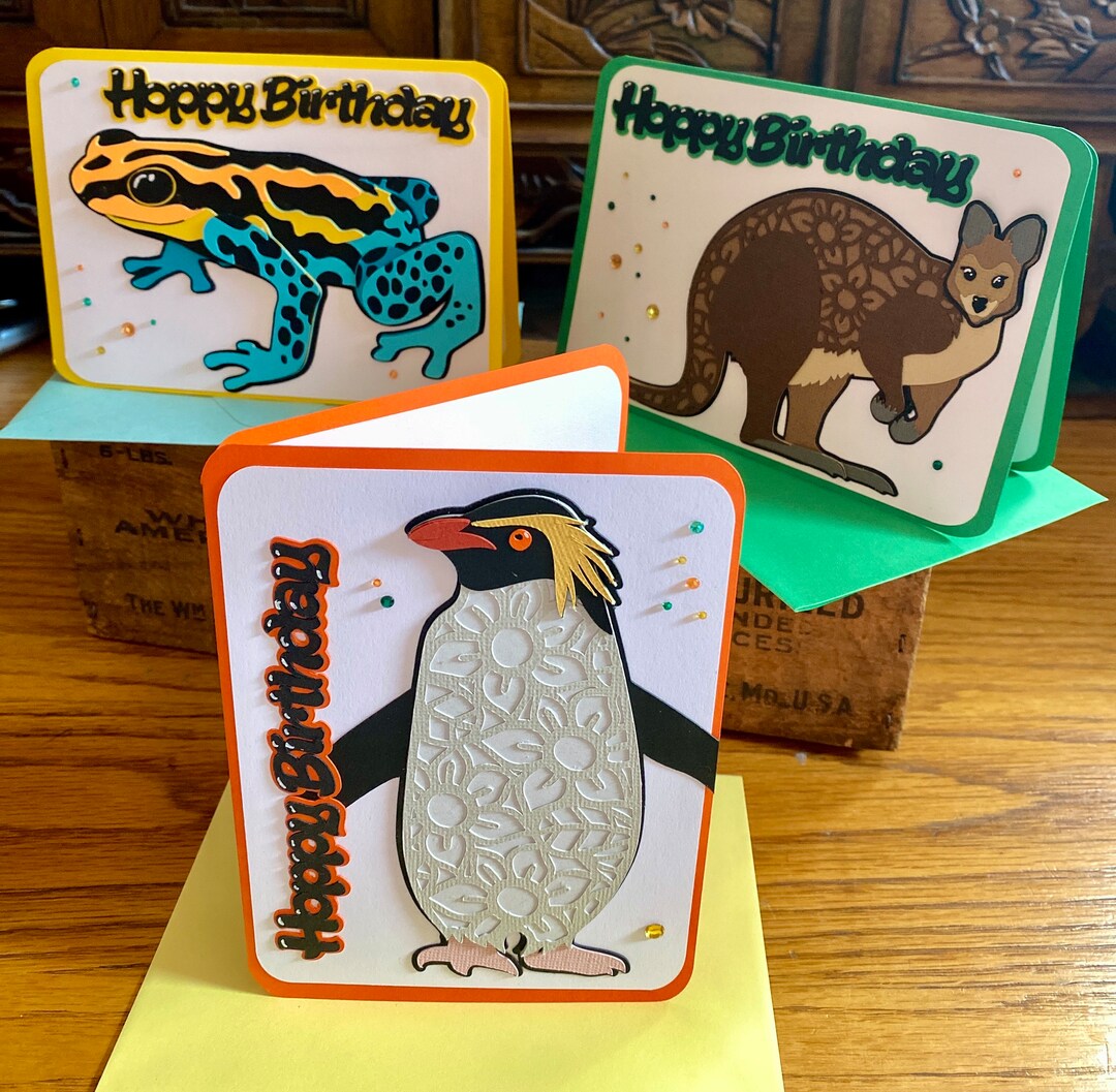 Hoppy Birthday Card Trio – Rockhopper Penguin, Wallaby, Frog - Etsy