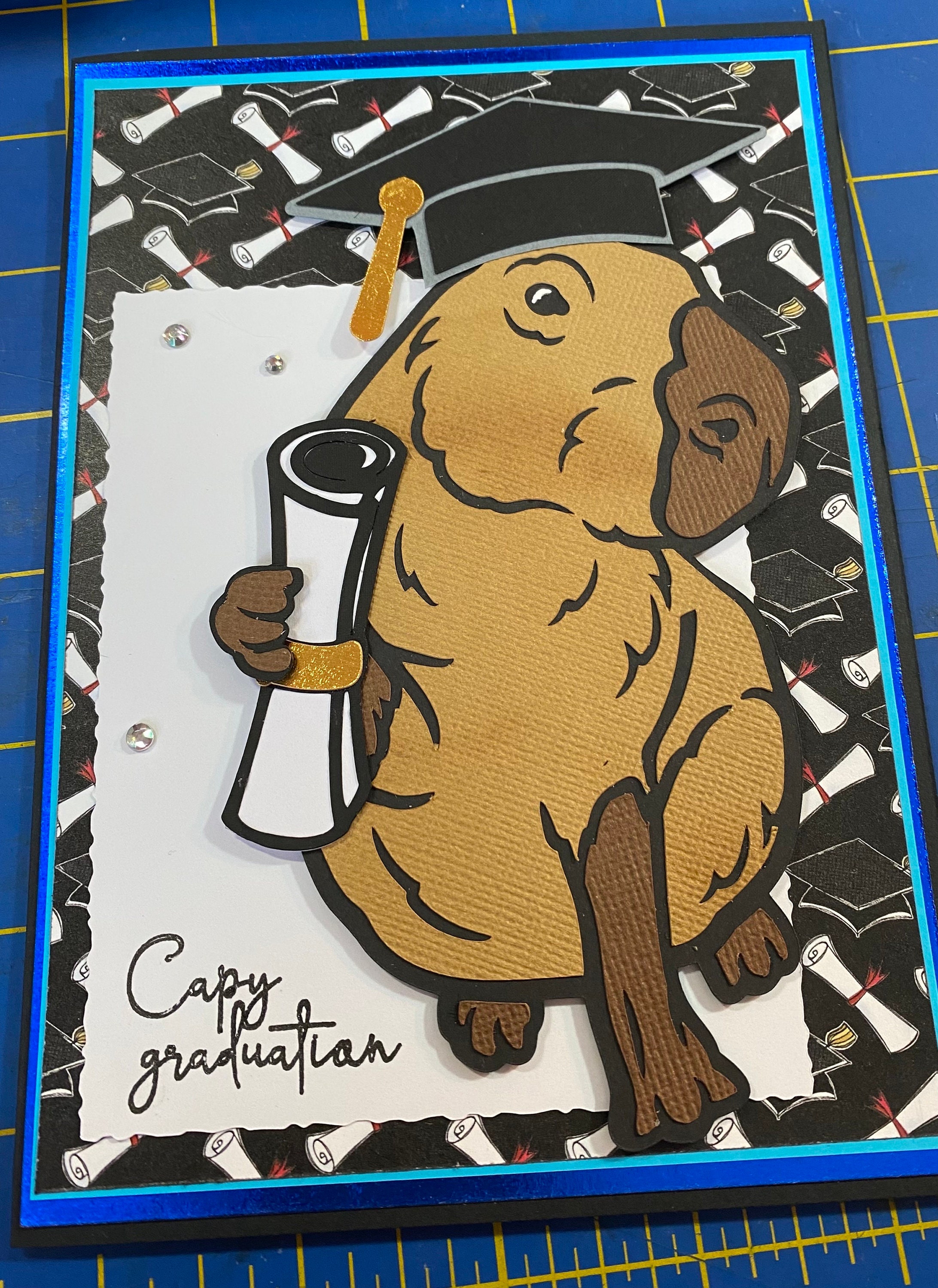 Capybara Graduation Card - Etsy