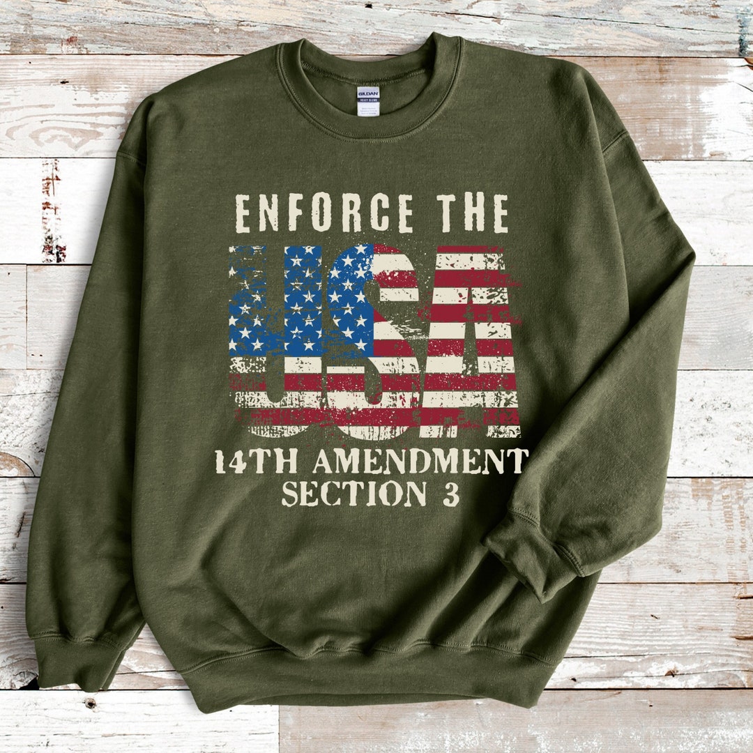 14th Amendment Section 3 T-shirt: Political Statement Unisex Tee - Etsy