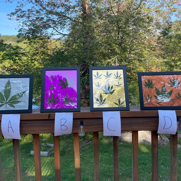 Marijuana Art - Etsy