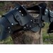 Pauldrons With Gorget Rogue Armor Set, Viking Knight Samurai Cosplay ...