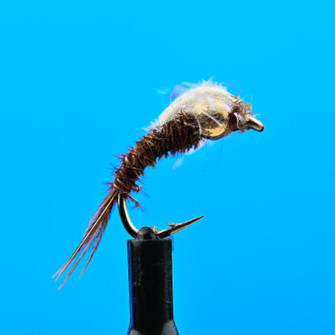 Tungsten PMD, Trout Fly, Nymph Fly 3 Pack - Etsy