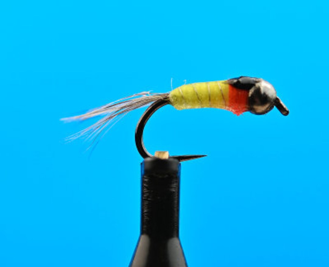 Perdigon Fly Neon Chartreuse , Trout Fly - Etsy