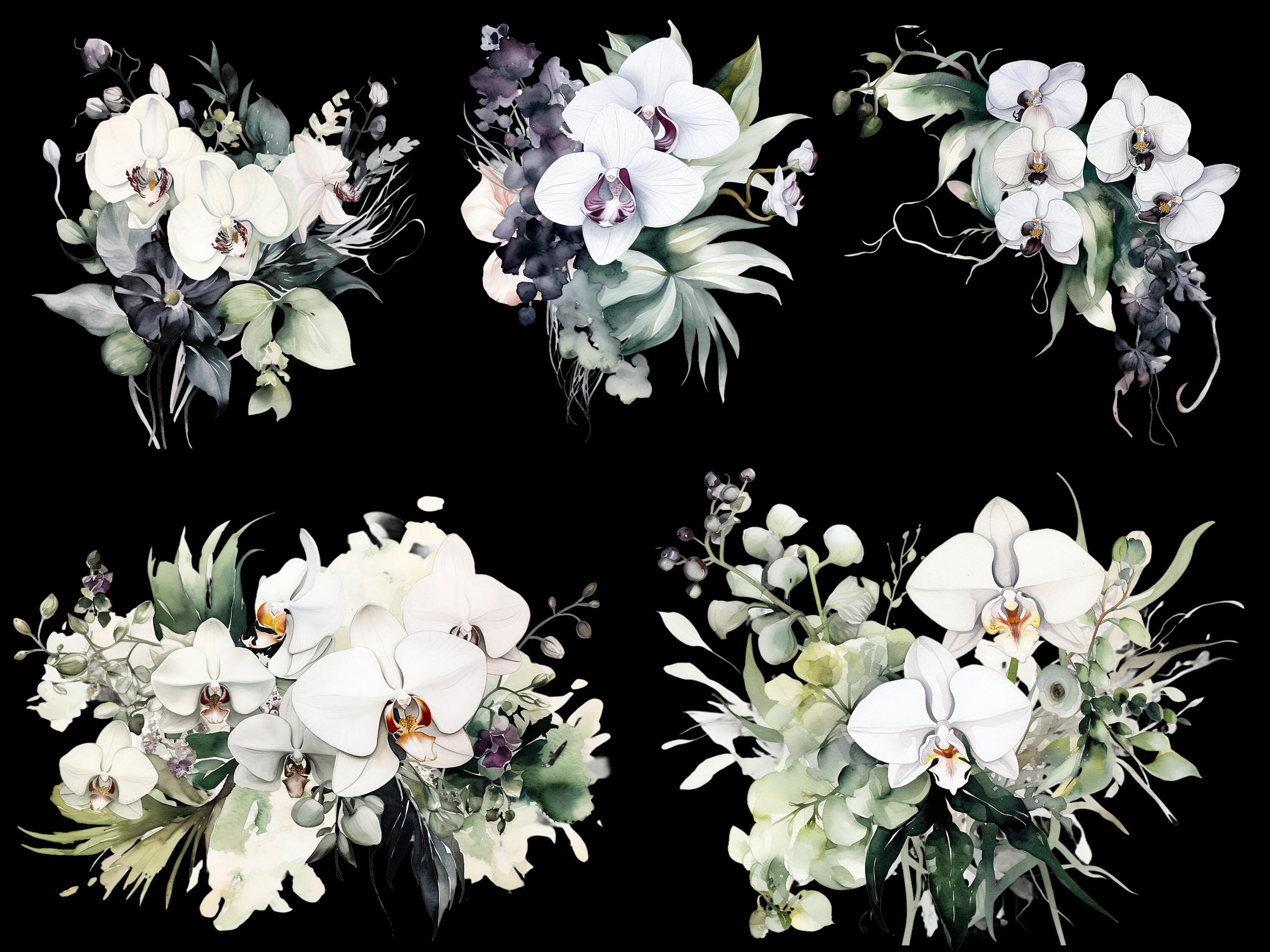 White Orchid Clipart Bundle, Watercolor Clipart, Floral Corner Border ...