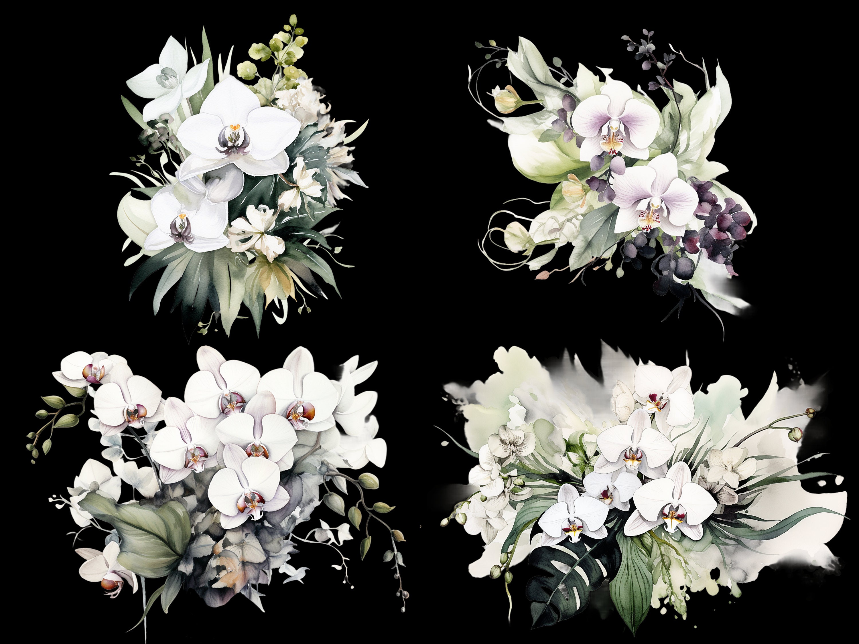 White Orchid Clipart Bundle, Watercolor Clipart, Floral Corner Border ...