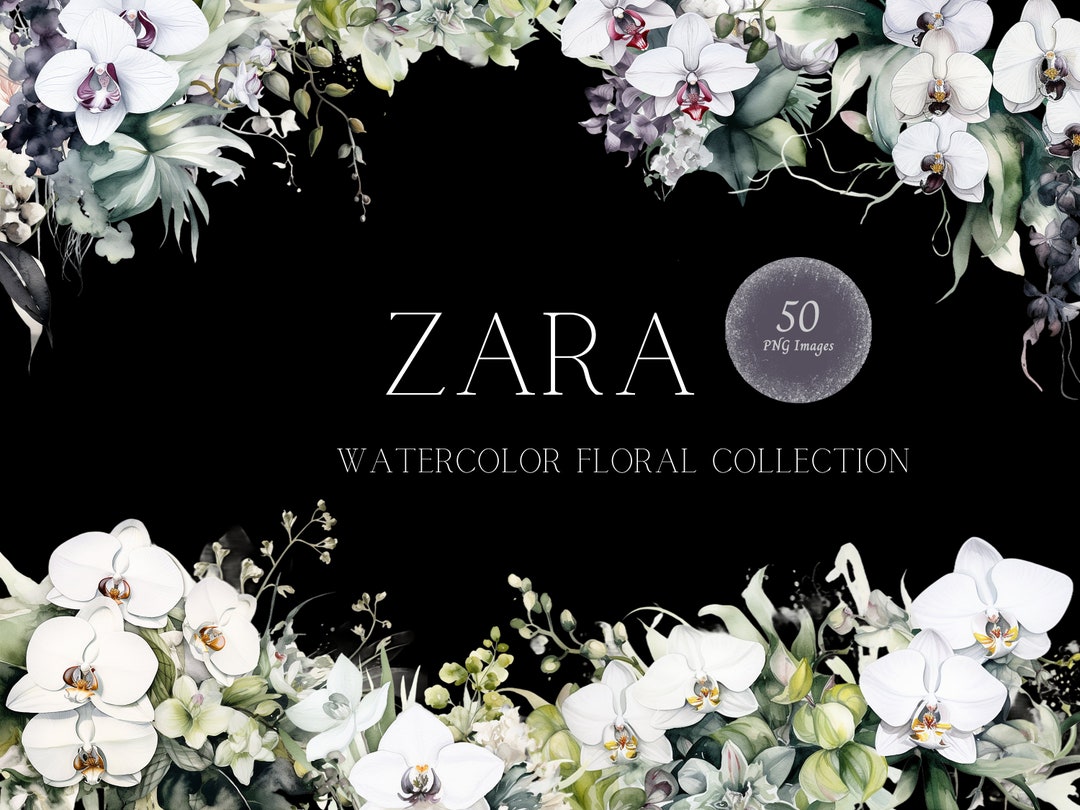 White Orchid Clipart Bundle Watercolor Clipart Floral Corner - Etsy