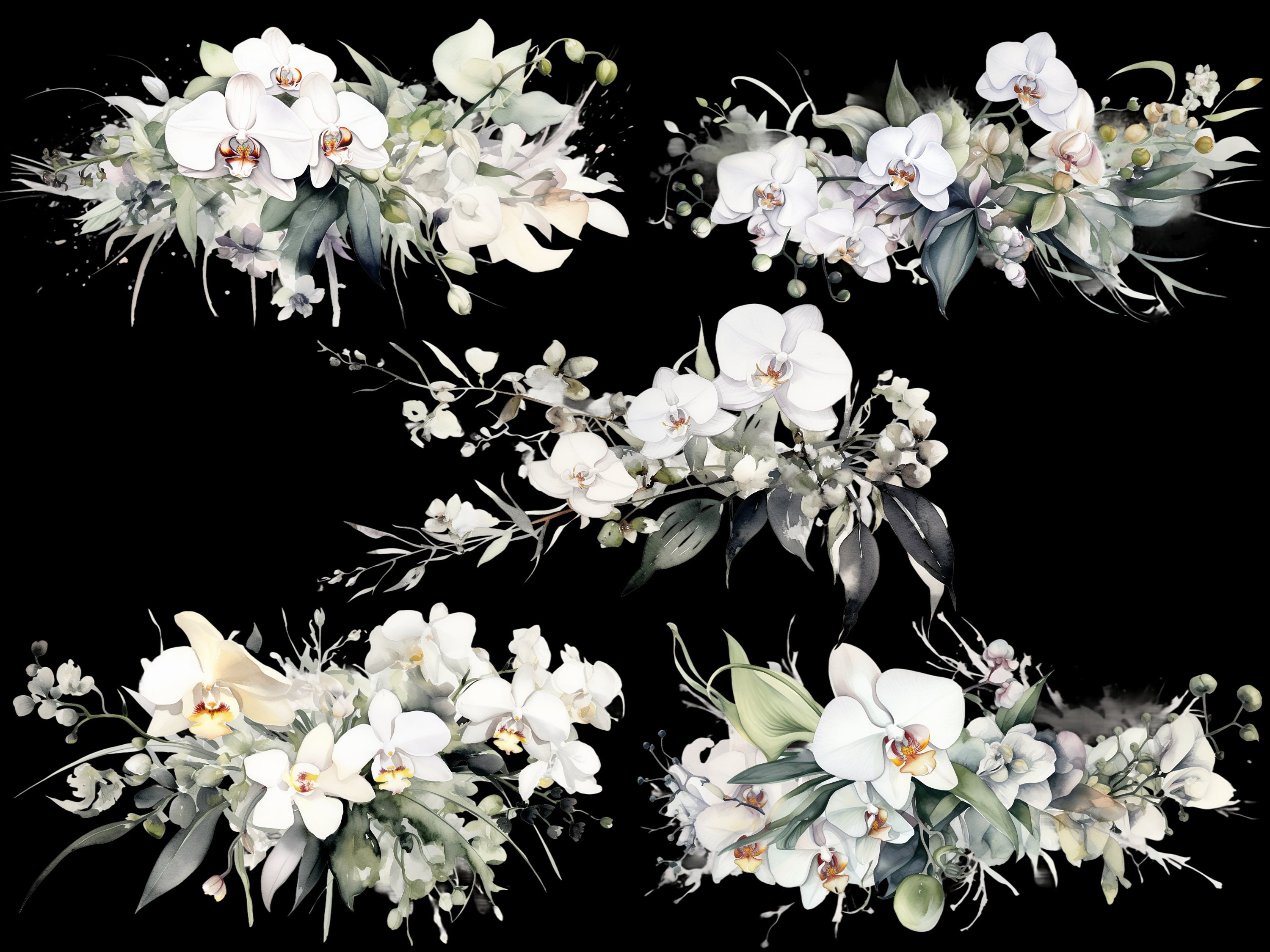 White Orchid Clipart Bundle, Watercolor Clipart, Floral Corner Border ...