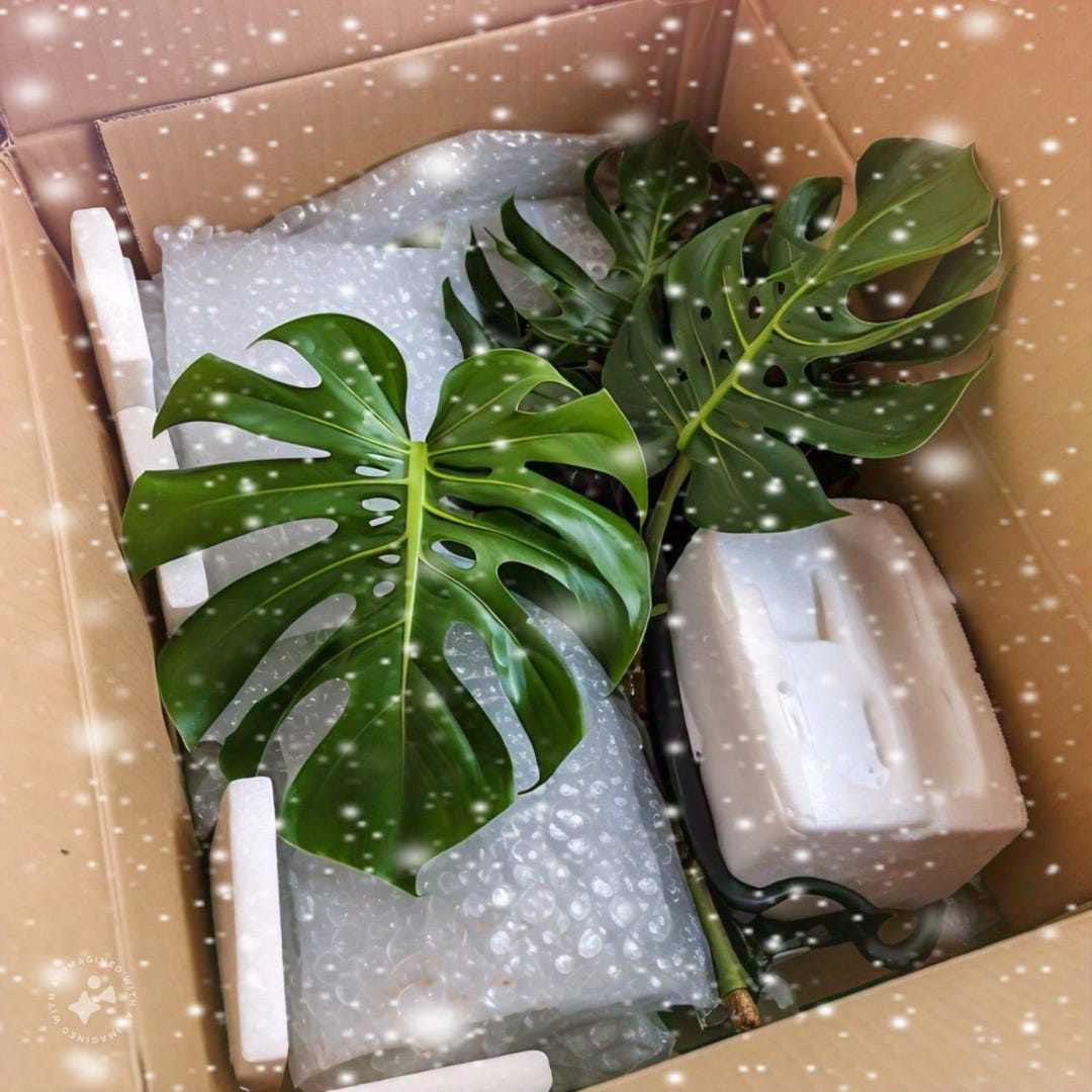 Winter Shipping Protection - Etsy