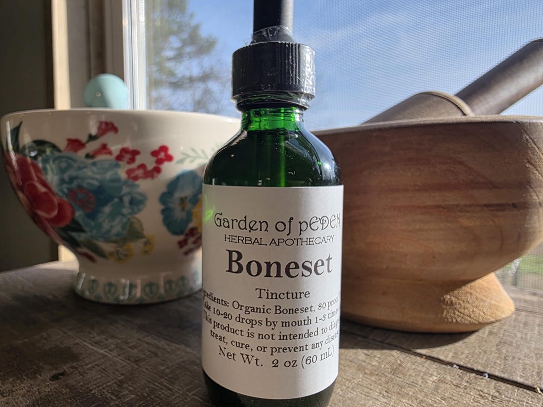 Boneset Tincture | Eupatorium Perfoliatum| Organic Herbal Extract ...