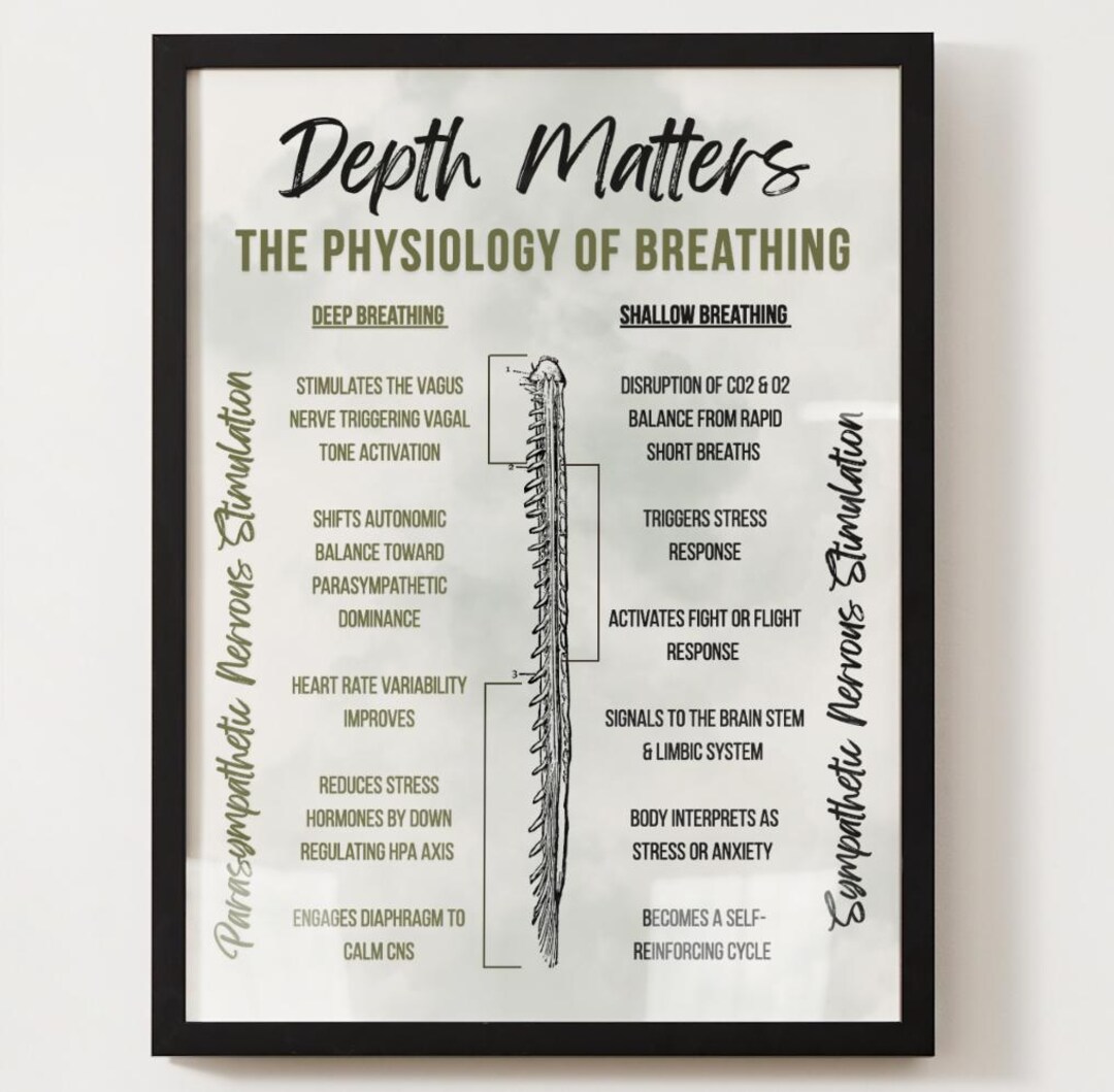 Diaphragm Breathing Art Print: Holistic Wellness Poster (digital ...
