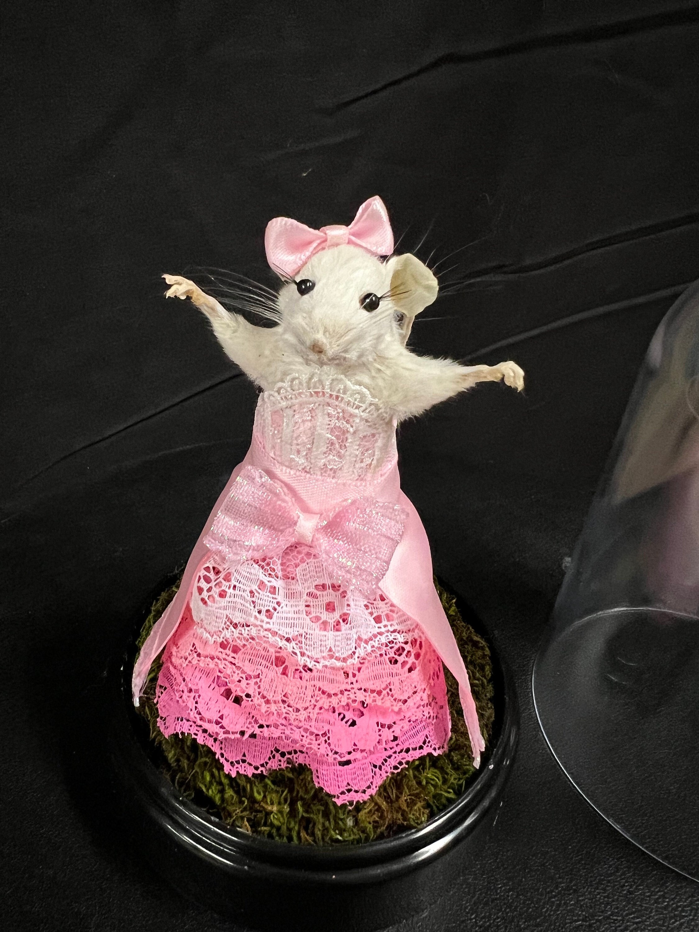 Pink Princess Mouse - Etsy