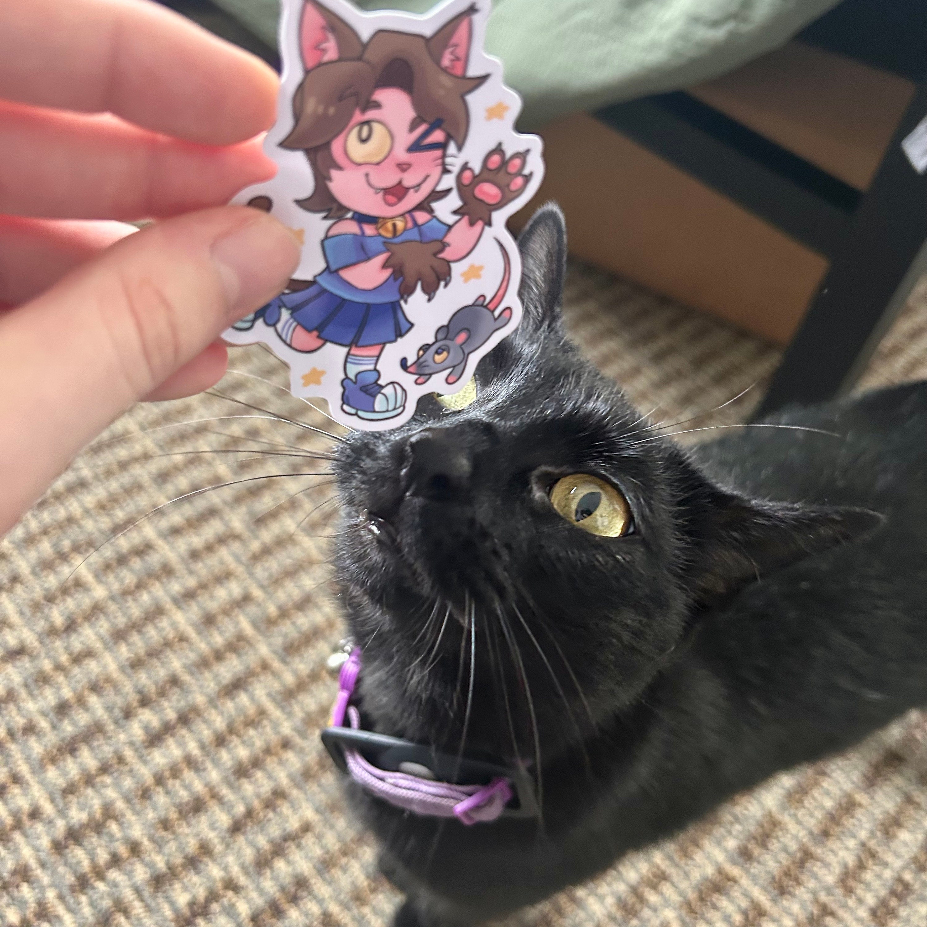 Catboy Jerma Cute Sticker - Etsy