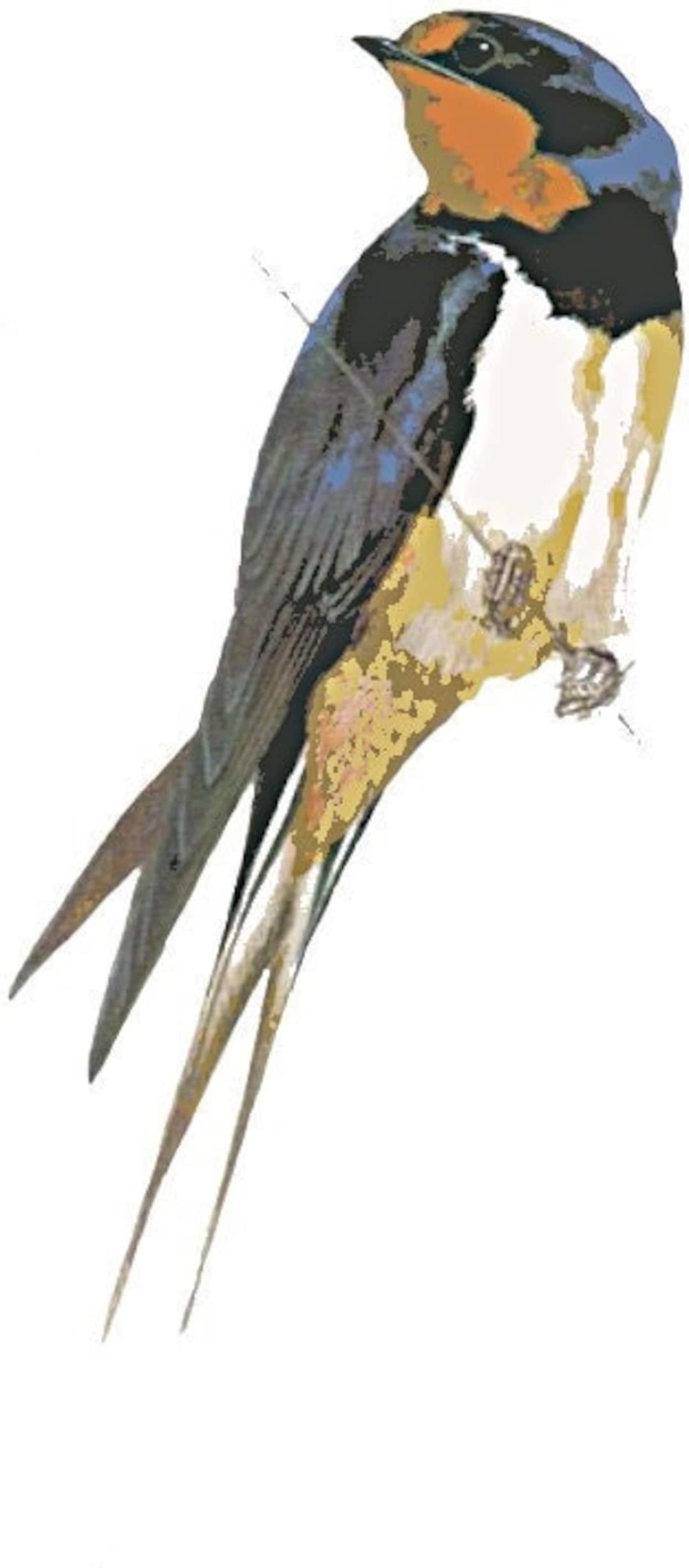 Chimney Swallow, Birds of Towns and Villages, Digital Format: Jpg Pdf ...