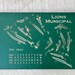 Lions Municipal Golf Course Map - Etsy