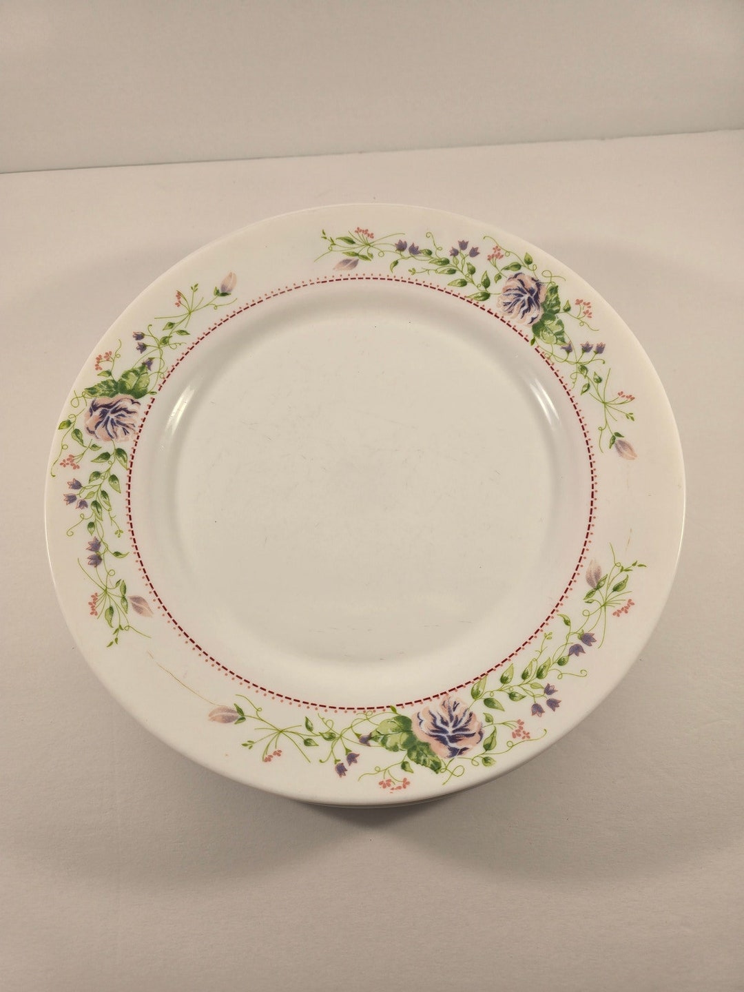 Set of 7 Arcopal Victorian Charm Plates - Etsy