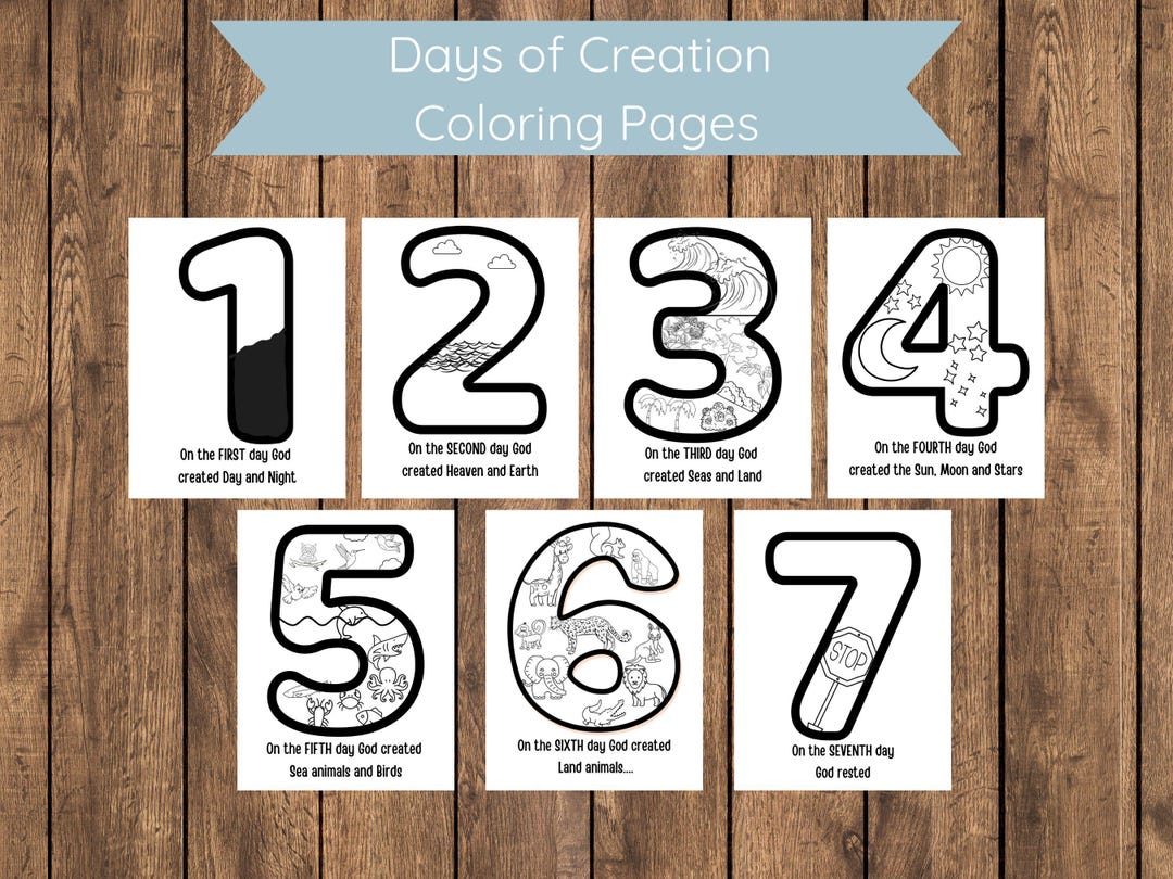 Creation Bible Coloring Pages: Sunday School Printable (PDF Pattern) - Etsy