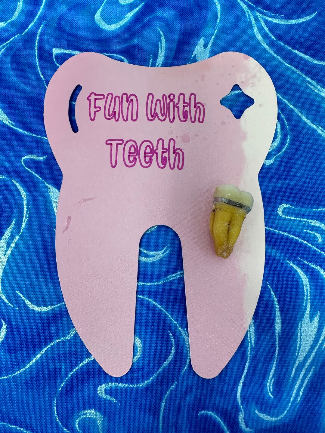 100% REAL Human Tooth With PFM Crown STERILIZED for Jewelry - Etsy