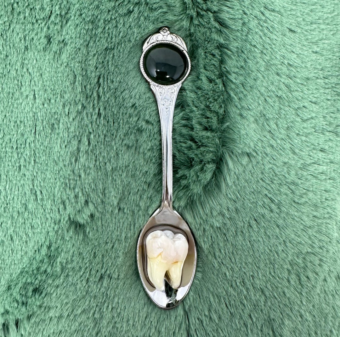 Real Human Tooth on a Tiny Spoon, Tooth Spoon, Human Tooth - Etsy