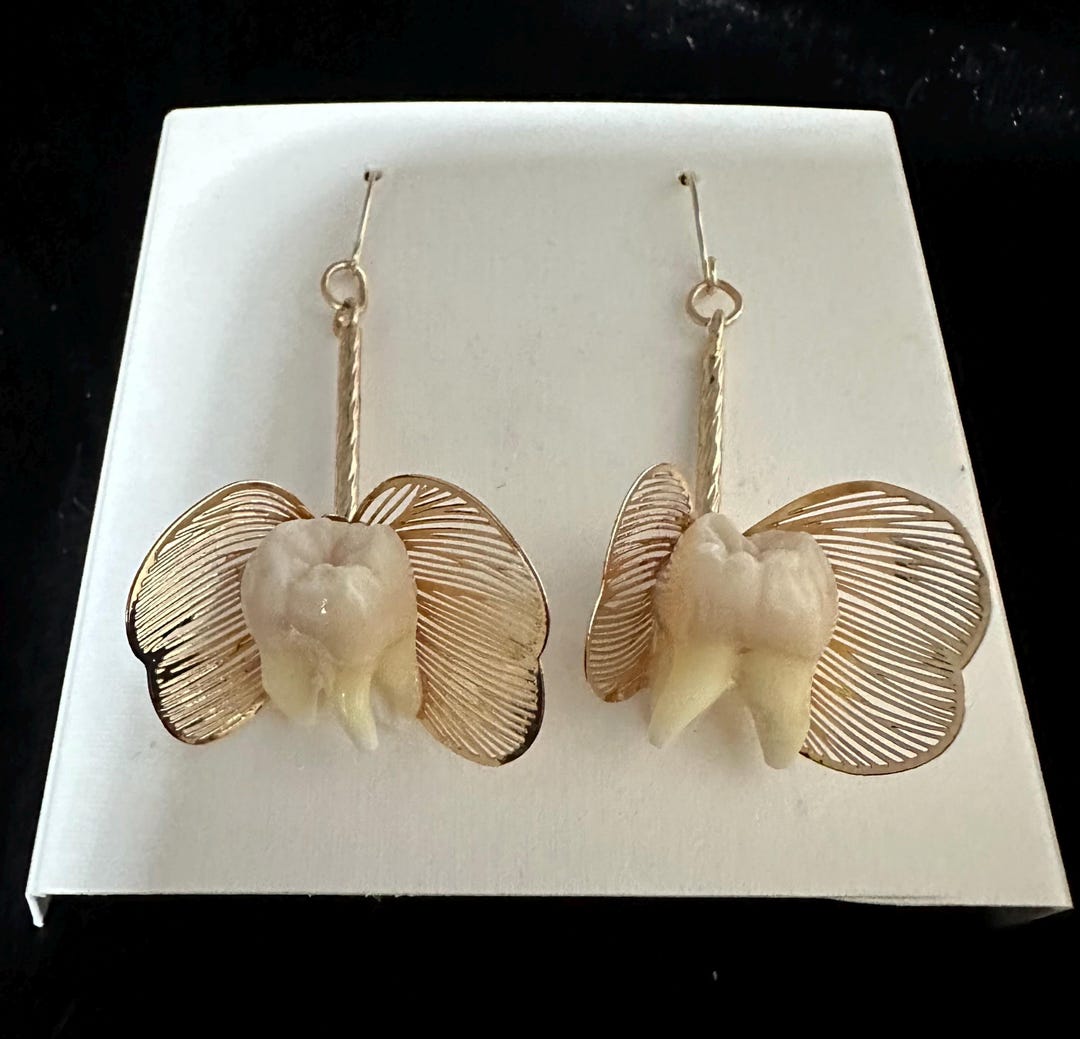 Real Human Tooth Fairy Earrings, Human Tooth Earrings, Human Tooth ...