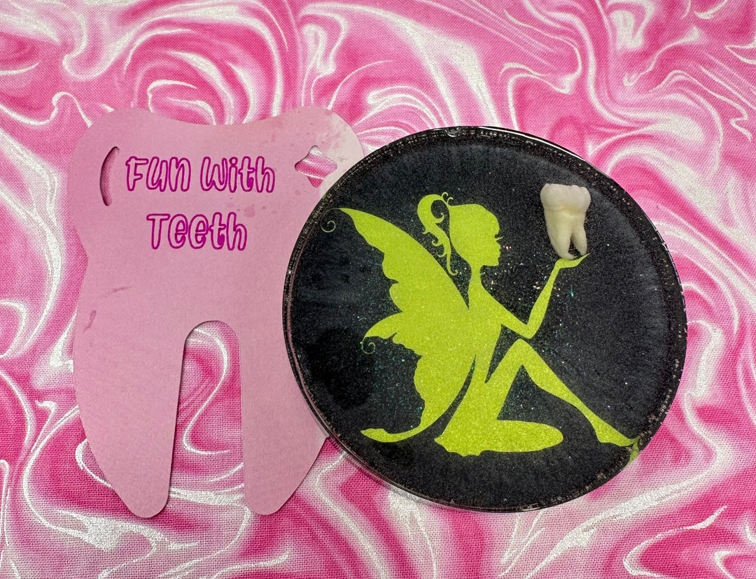 Real Human tooth Fairy Coaster, Tooth Coaster, Human Tooth Coaster ...