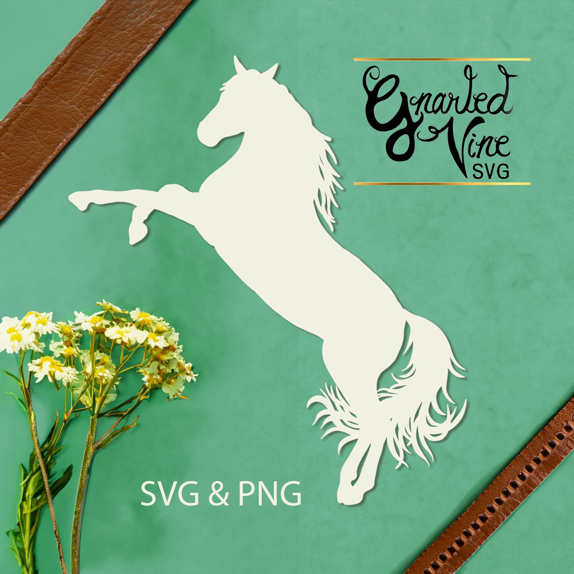 Rearing Horse Stallion Mustang SVG PNG Instant Download Digital File ...