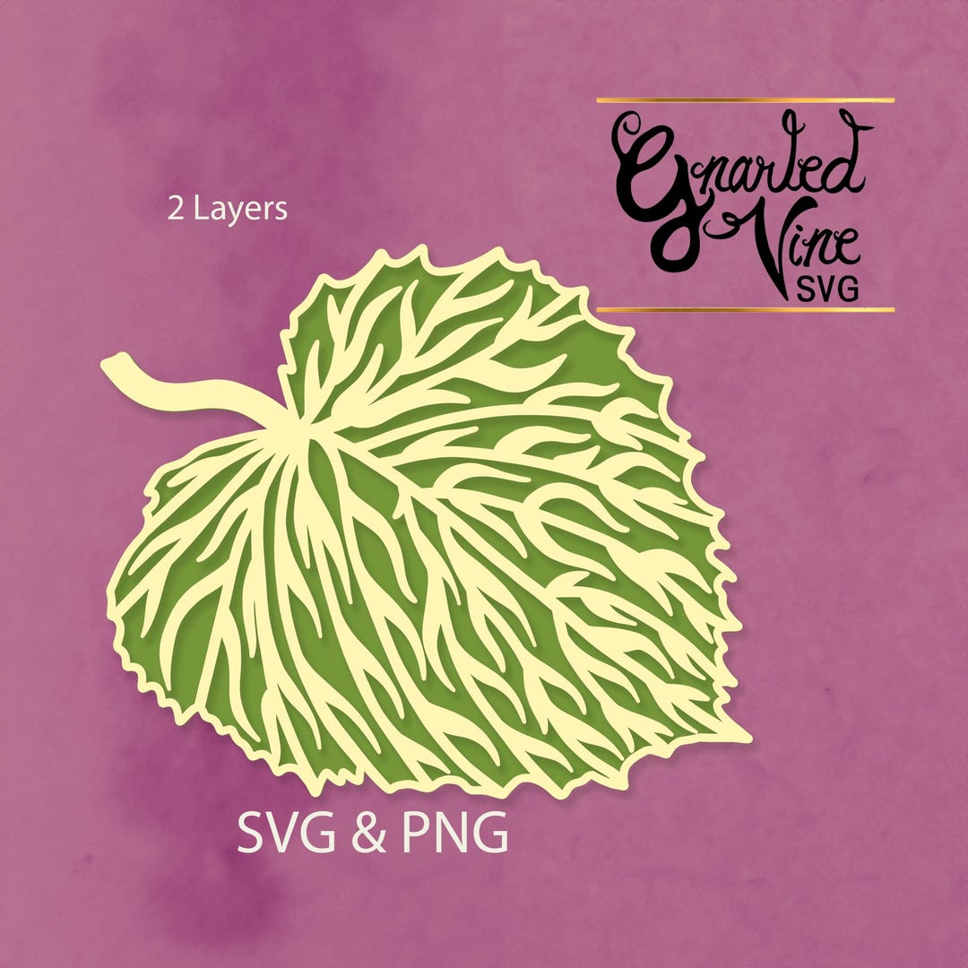 Fall Birch Leaf SVG PNG Cut File for Laser Cricut Sublimation Clipart ...