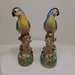 2 Vintage Bird Figurine Andrea by Sadek Pair Tropical Parrot Porcelain ...