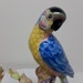 2 Vintage Bird Figurine Andrea by Sadek Pair Tropical Parrot Porcelain ...