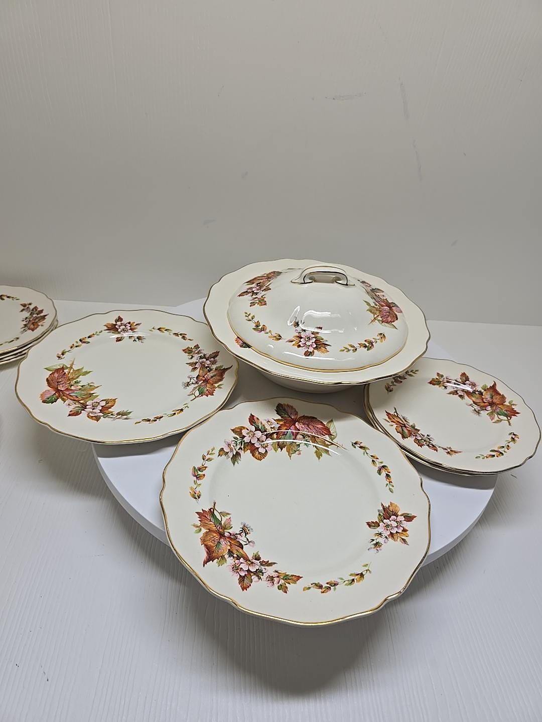 Autumn Leaves Wilton Serving Plates With Tureen, by Royal Doulton D6226 ...