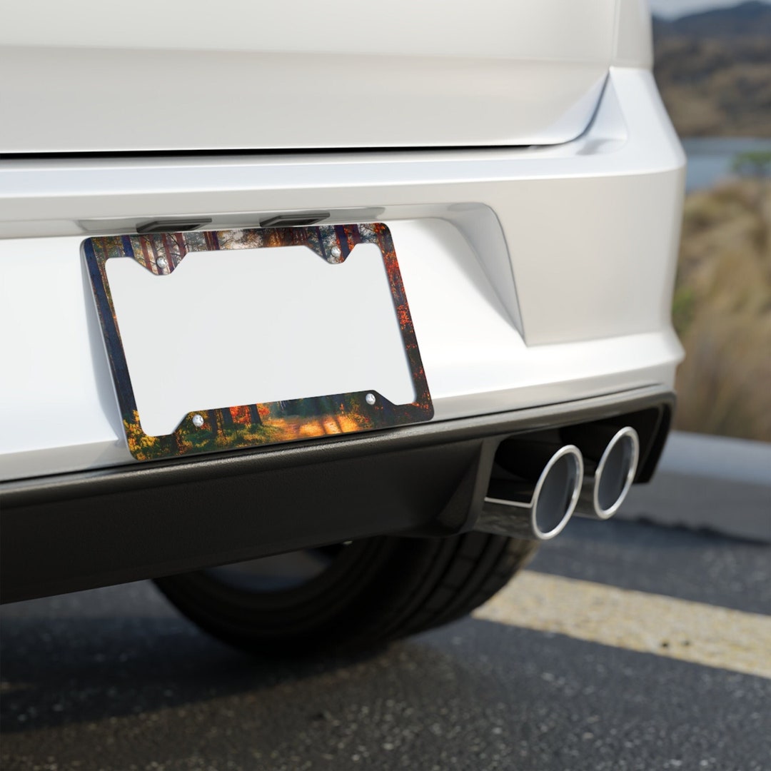 Autumn Sunshine License Plate Frame, Fall Trees, Mountain Clearing Car ...