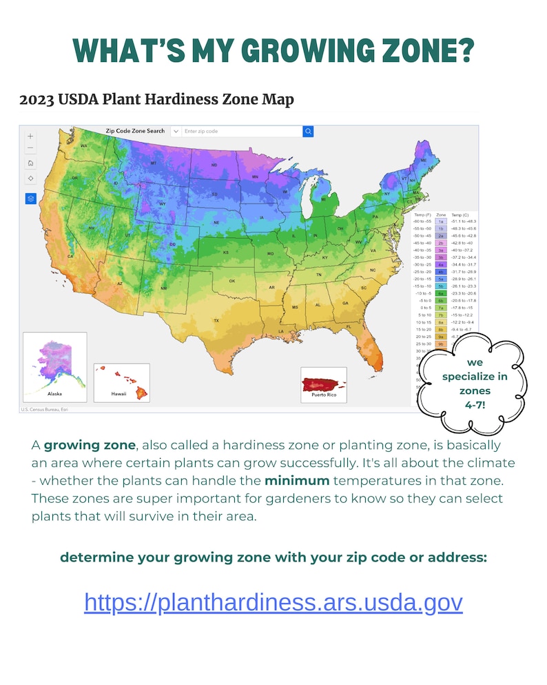 The Sycamore | DIY Pollinator Garden Design | Print & Plant Landscape ...