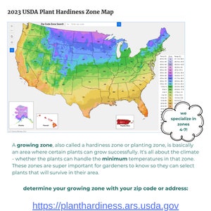 The Heritage - Red White & Blue Garden | Part Sun Cottage Design Plan ...