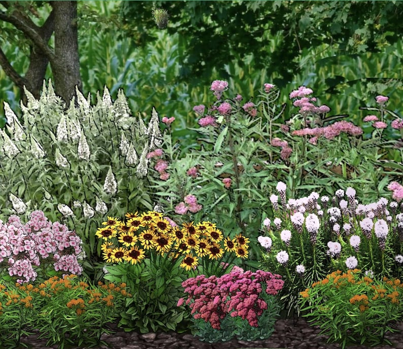 The Meadow | DIY Pollinator Garden Design | Butterfly & Bee Friendly ...