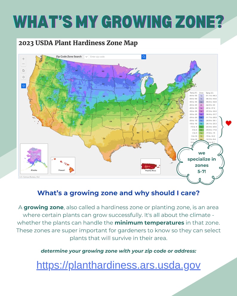 The Park - Green & White Garden | Serene Landscape Design Zones 5-8 - Etsy