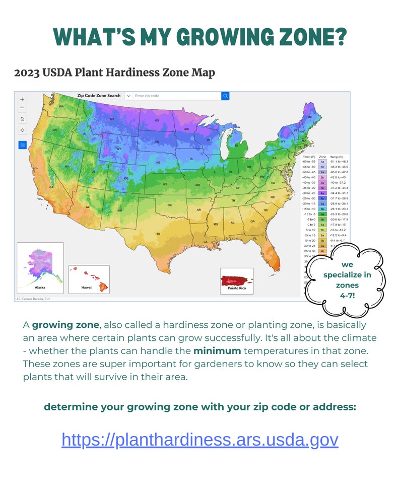 The Meadow | DIY Pollinator Garden Design | Butterfly & Bee Friendly ...