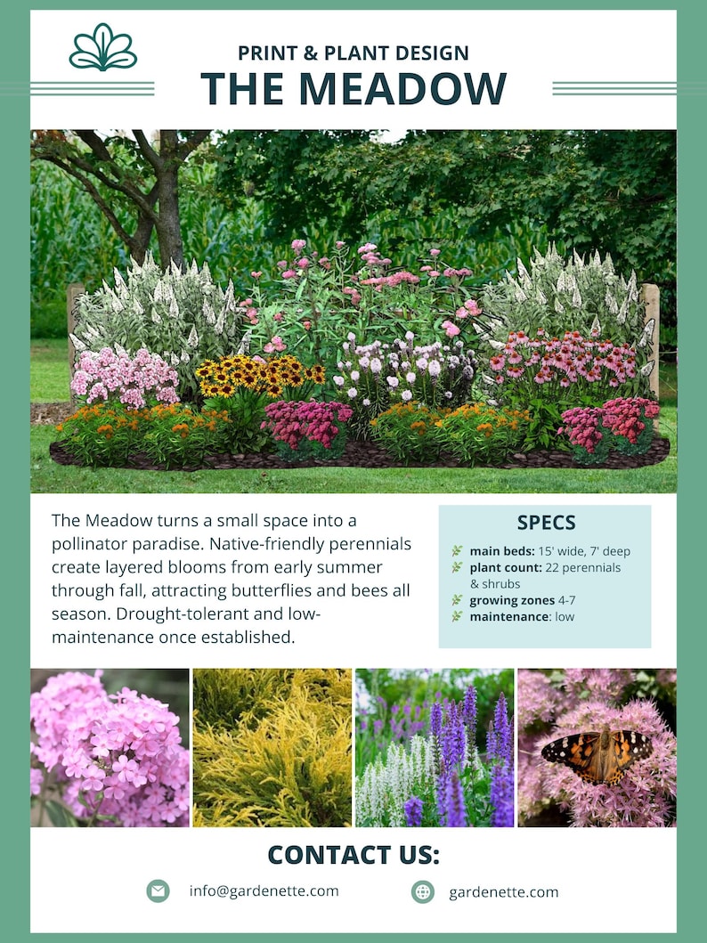 The Meadow | DIY Pollinator Garden Design | Butterfly & Bee Friendly ...