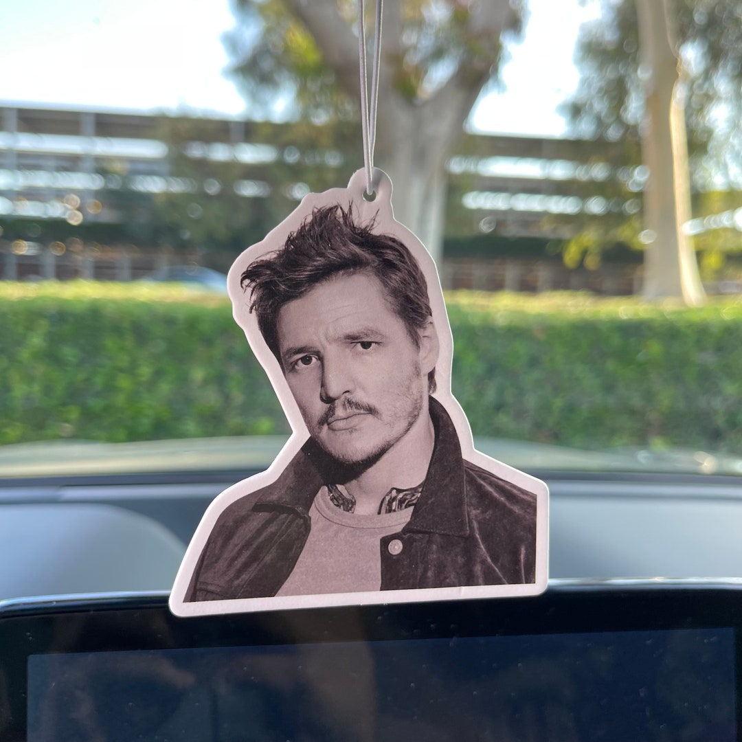 Pedro Pascal Face Car Air Freshener New Car Scent - Etsy