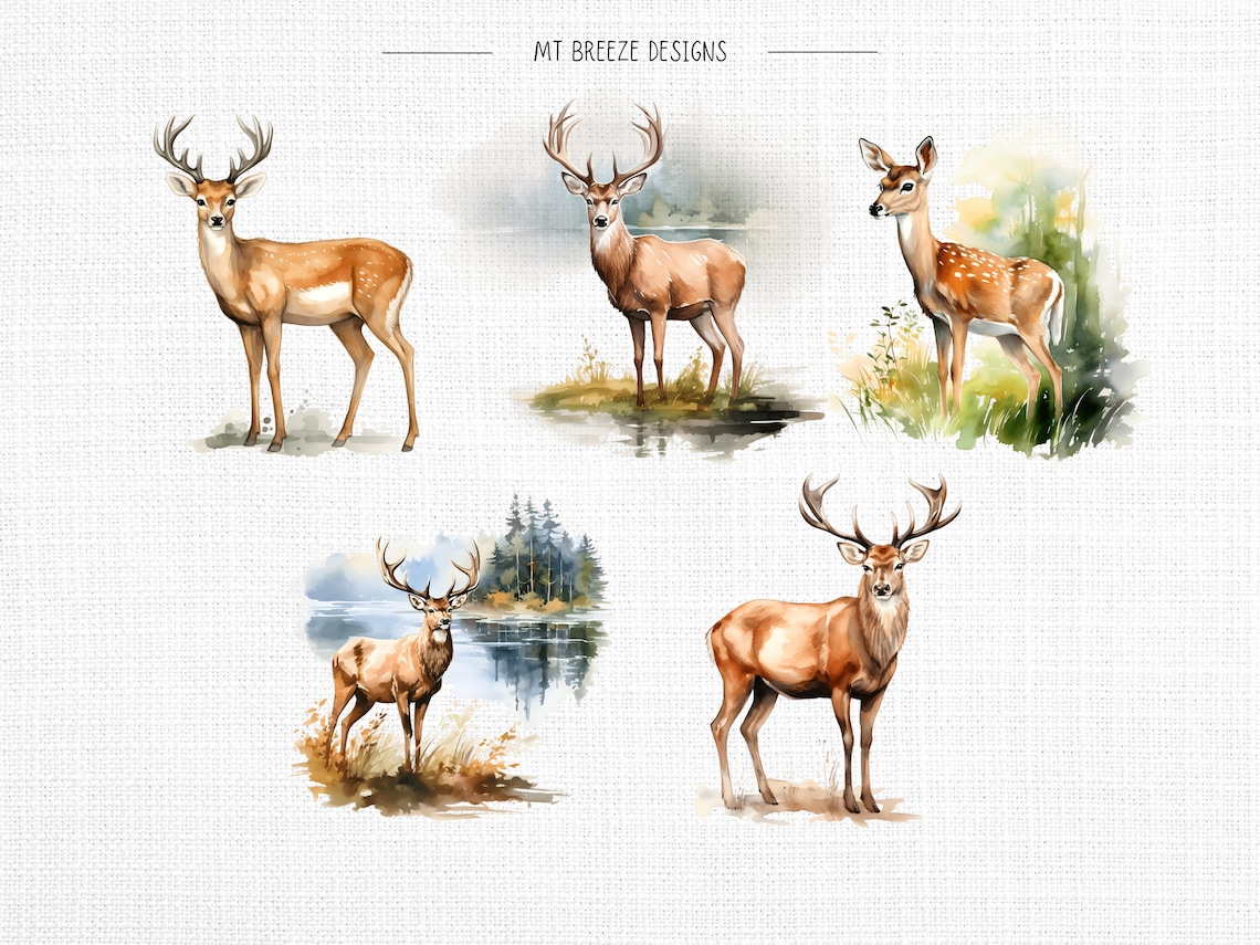 Deer Watercolor Clipart Set, High Resolution Woodland Deer and Buck ...