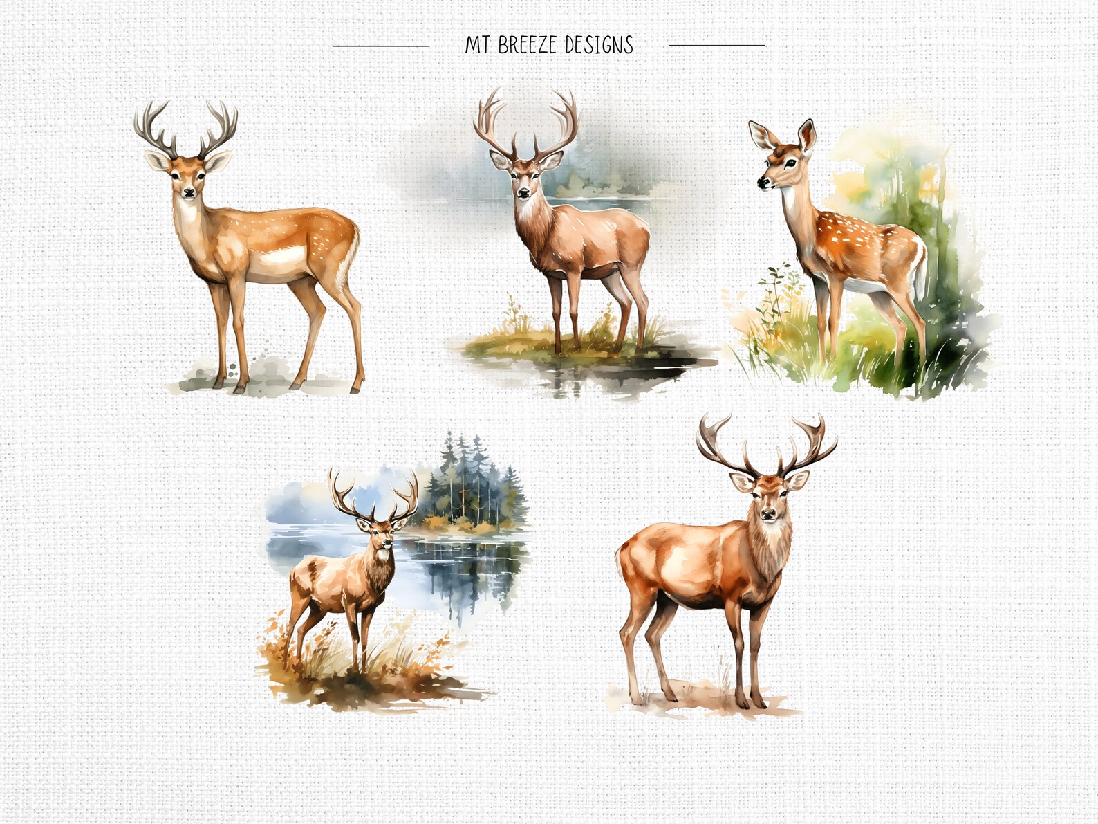 Deer Watercolor Clipart Set, High Resolution Woodland Deer and Buck ...