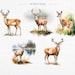 Deer Watercolor Clipart Set, High Resolution Woodland Deer and Buck ...