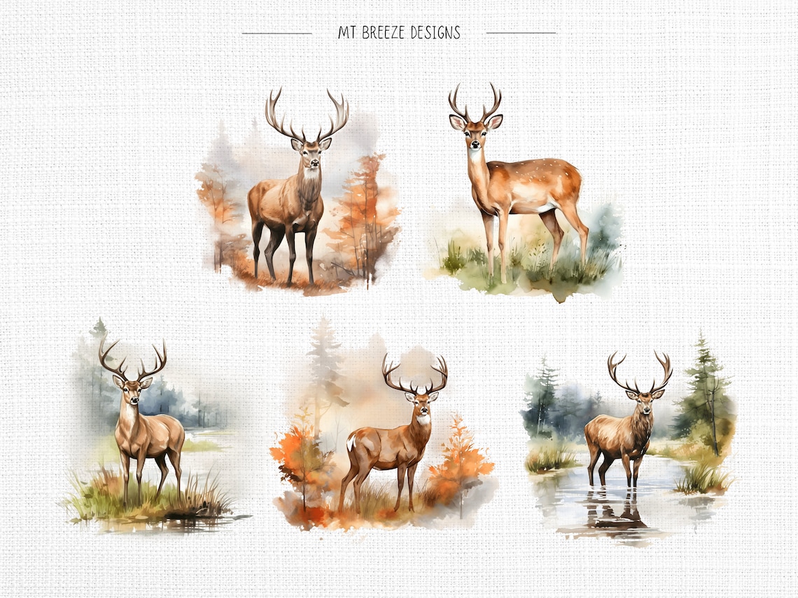 Deer Watercolor Clipart Set, High Resolution Woodland Deer and Buck ...