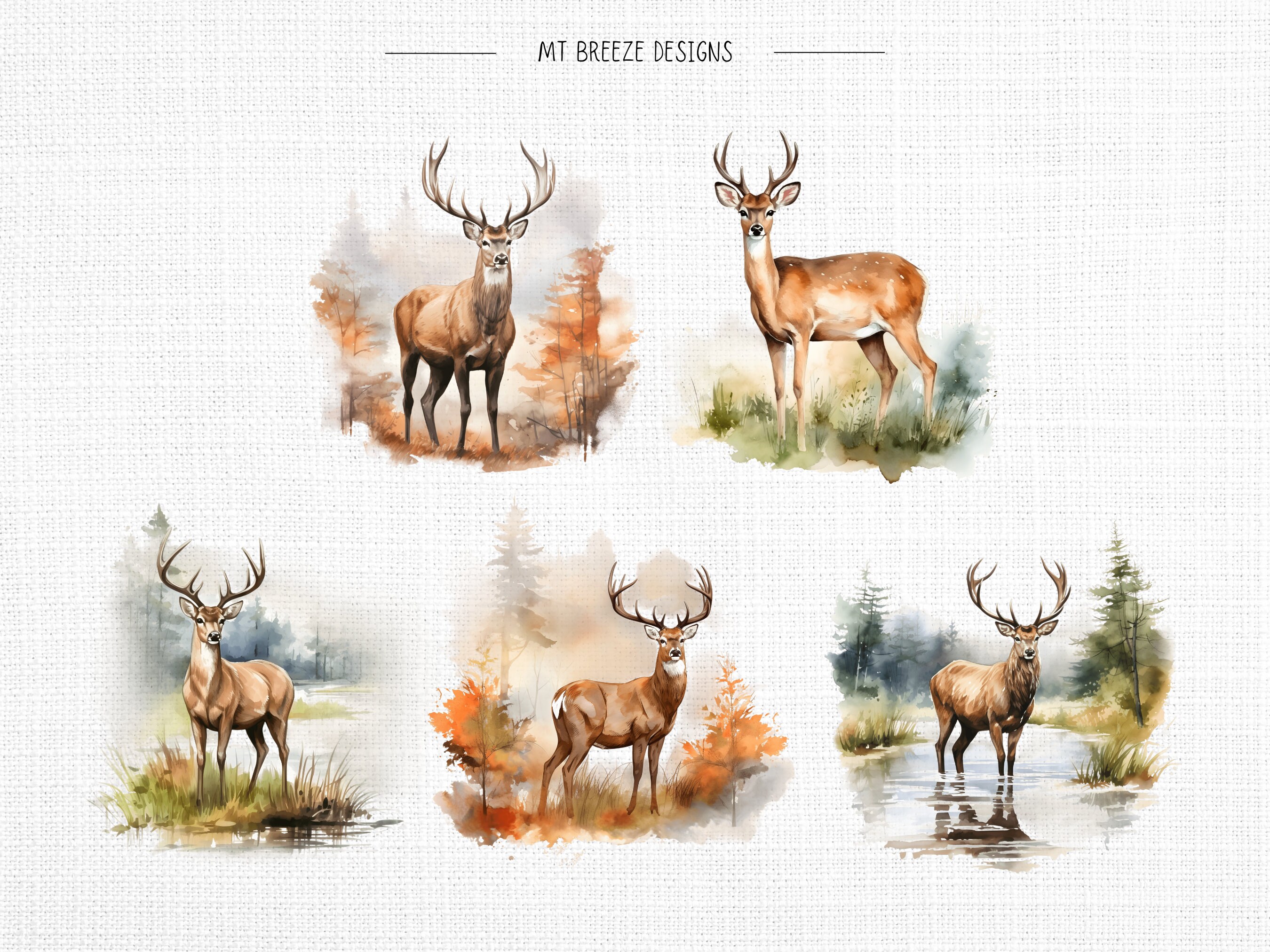 Deer Watercolor Clipart Set, High Resolution Woodland Deer and Buck ...