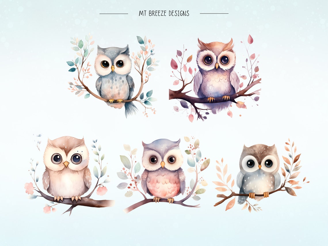25 Cute Owls Watercolor Clipart Set, High Resolution Leaves and Owl ...