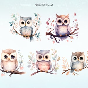 25 Cute Owls Watercolor Clipart Set, High Resolution Leaves and Owl ...