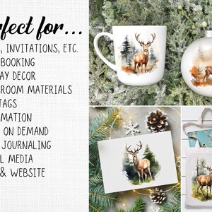 Deer Watercolor Clipart Set, High Resolution Woodland Deer and Buck ...