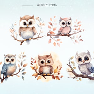 25 Cute Owls Watercolor Clipart Set, High Resolution Leaves and Owl ...